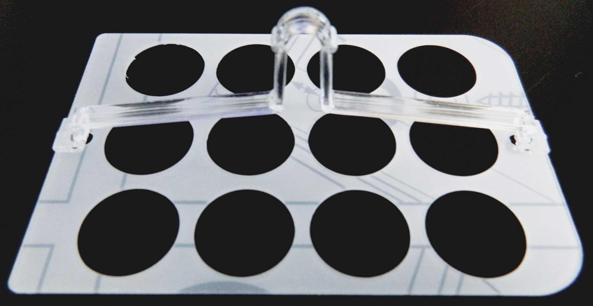 Section Incubation Insert Carrier Kit (for 12 wells) - FD Neuro ...